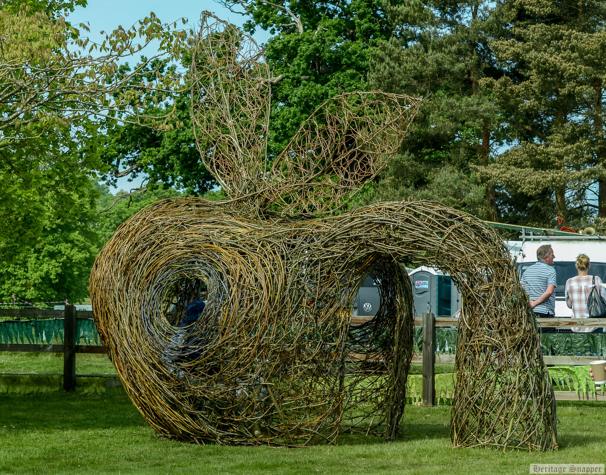 Gallery - Weird and Wonderful Wood